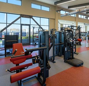 USF Off Campus Housing For Freshmen | The Standard at Tampa